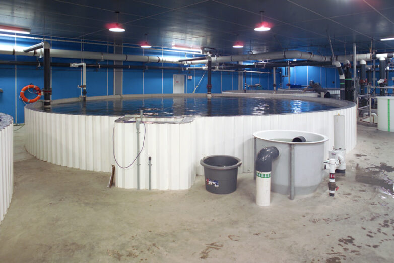 Millbrook First Nation Hatchery - Octaform