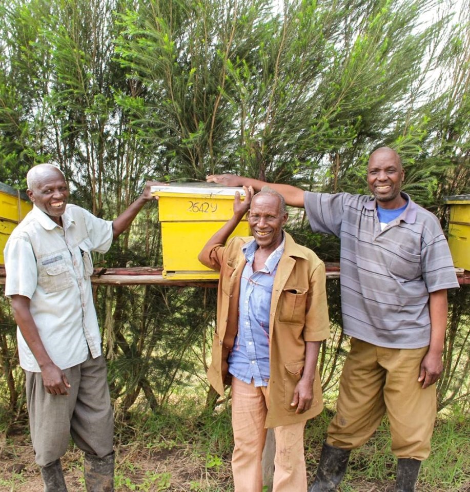 Beekeeping in Kenya - Octaform